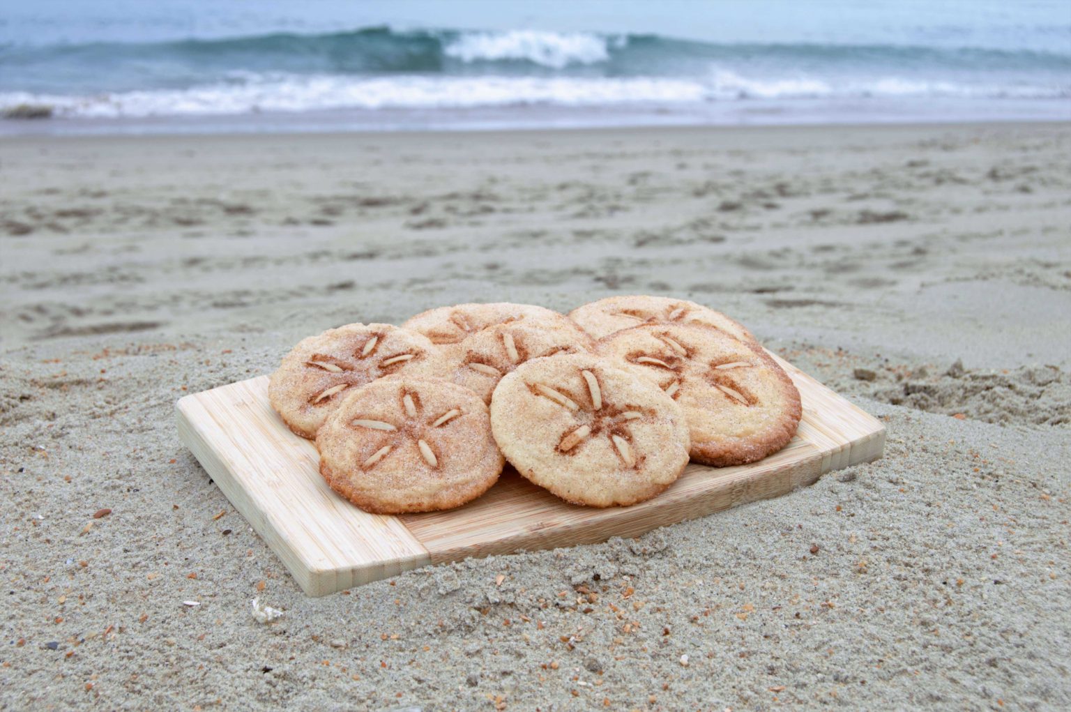Sand Dollar Cookies - The Starving Chef